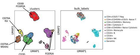 Github Evanpeikonscrna Seq Scanpy Identifying And Visualizing