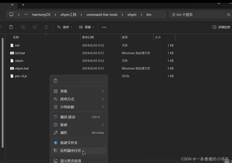鸿蒙开发——网络连接，axios第三方库 ohpm csdn博客