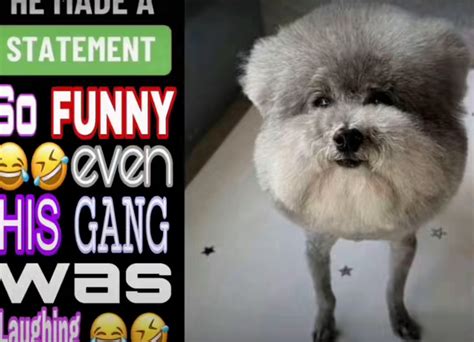 He Made A Statement So Funny Even His Gang Was Laughing Know Your Meme