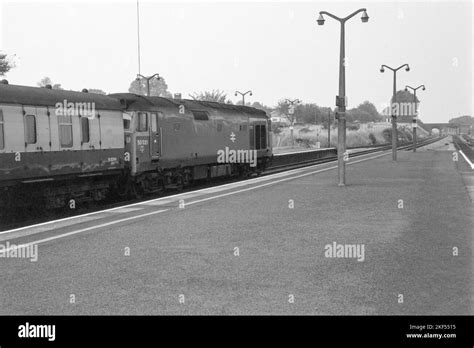 Original British Rail Diesel Locomotive Class 50 Number 50021 On