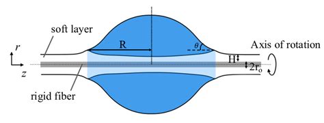 Schematic Diagram Of An Axisymmetric Barrel Shaped Droplet Embracing A Download Scientific