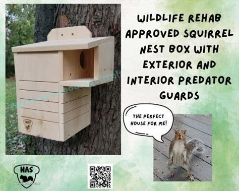 Squirrel House Plans Pdf En 2024 Ardillas