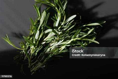 어두운 테이블에 향기로운 로즈마리 잎 음식에 대한 조미료로 매운 아로마 식물 다크 푸드 사진 이미지 Tryptophan에 대한 스톡 사진 및 기타 이미지 Istock