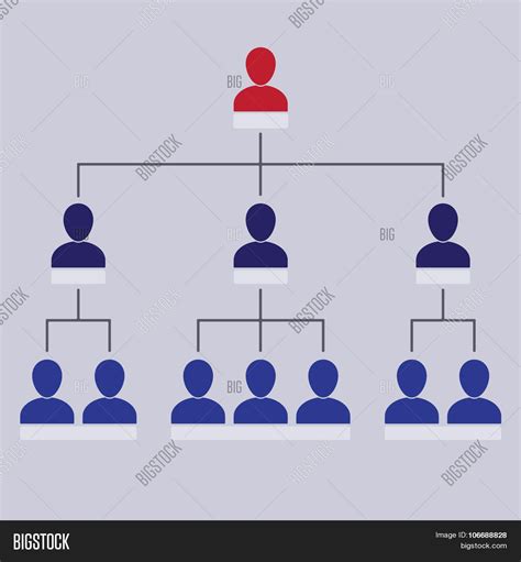 Organization Chart Vector And Photo Free Trial Bigstock