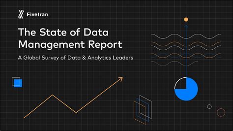 The State Of Data Management Report Wisdom Interface
