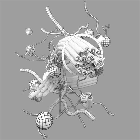 Artstation Connective Tissue Elements Labelled Resources
