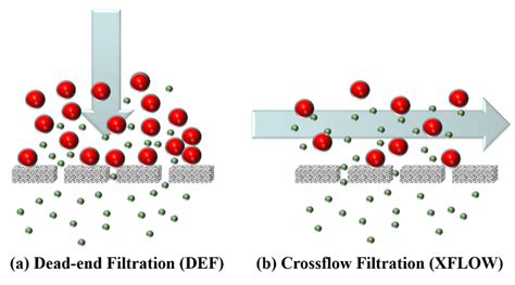 Membranes Free Full Text Permeate Flux In Ultrafiltration Processes—understandings And