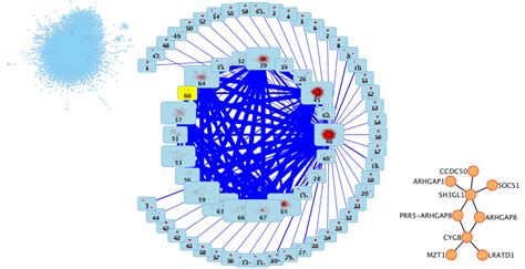 Cytoscape App Store Clustnsee 3