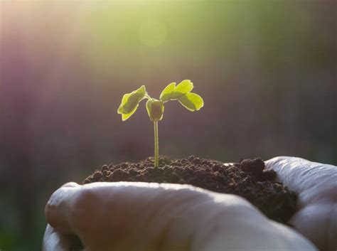 Understanding Esg Risk Management A Comprehensive Guide