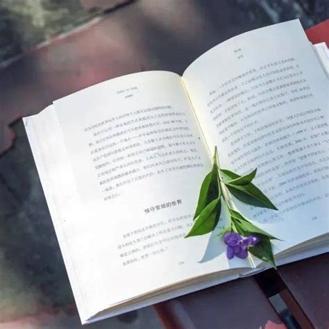 《金瓶梅》最露骨的八句话，说尽人心，识透人性译文一个人都晓