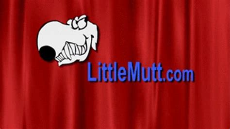 Alaina Fox Massage With Ami Full Wmv Total Control Deep Sensual