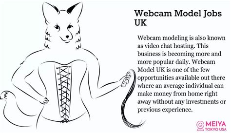 Tips For Webcam Models PPTX Internet For Beginners Internet