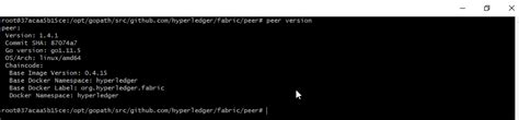 Add An Organization To Your Existing Hyperledger Fabric Blockchain