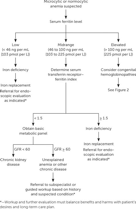Anemia In Older Adults Aafp