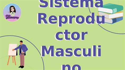 Sistema Reproductor Masculino Lalepaz Udocz