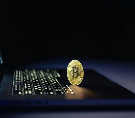 Digital Assets A Complete Beginners Guide Wakelet Blog