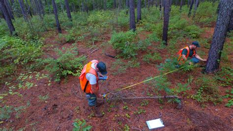 Forest Inventory And Analysis South Carolina Forestry Commission