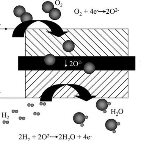 Schematic Diagram Of Sofc With Its Working Principle [7] Download Scientific Diagram