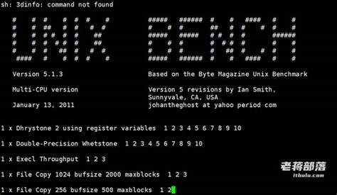 利用unixbench脚本一键跑分linux服务器性能（系统读写进程及图形化测试）老蒋部落