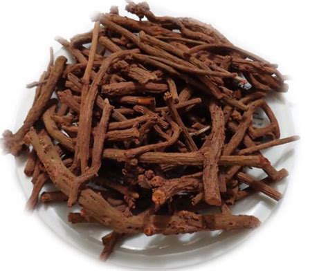 Majith Root Manjistha Root Manjith Majeeth Madder Rubia Cordifolia