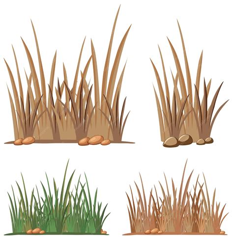 Sod Clipart
