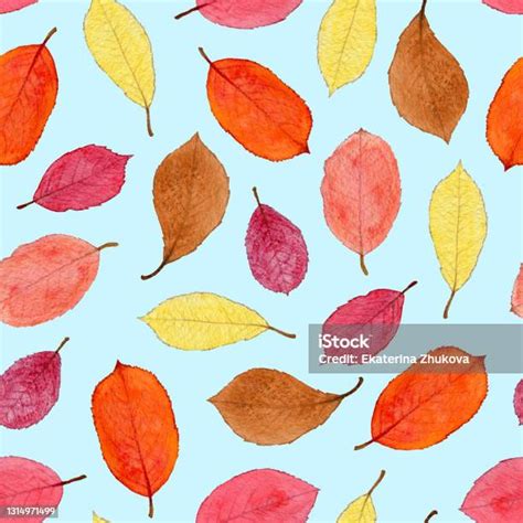 벚꽃과 산재의 단풍의 원활한 수채화 패턴 직물 직물 포장 웹 사이트 스크랩 북 벽지 종이 배경에 대한 가을 패턴 손 페인팅 10월에 대한 스톡 벡터 아트 및 기타 이미지