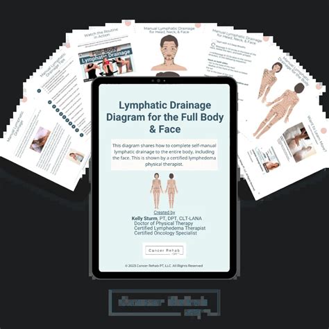 Lymphatic Drainage Diagram For The Face Body Digital Cancer Rehab Pt