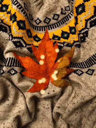 🍁 Tumbex 🍁 Tumbex