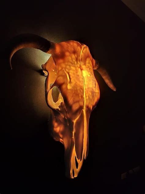 Світильник з черепа корови — ціна 1885 грн у каталозі Світильники Купити товари для дому та