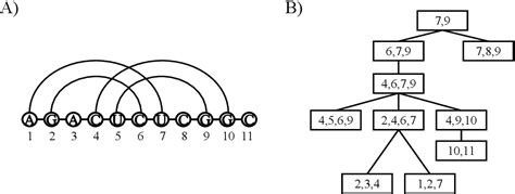 Figure 11 From Practical Structure Sequence Alignment Of Pseudoknotted Rnas Semantic Scholar