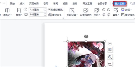 如何压缩WPS文档中的图片 360新知