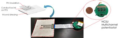 Biochemical Sensors For Wound Monitoring ASSIST Center