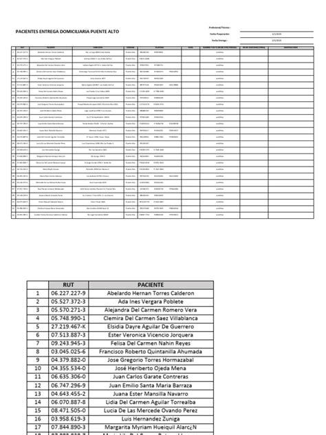 Adulto Mayor Puente Alto 01 03 2024 Pdf