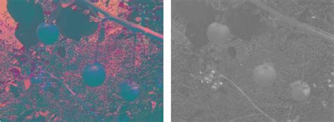 RGB Image In YCbCr Color Space Fig Third Gray Level Of Ycbcr Image Download Scientific Diagram