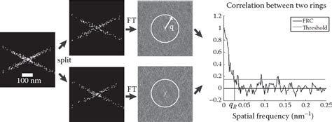 Photoactivated Localization Microscopy Semantic Scholar