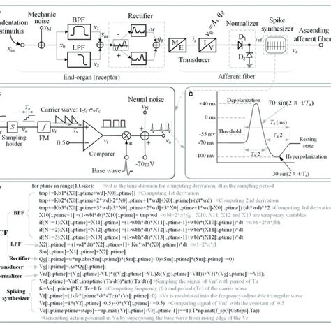 Performance Comparison Between Different Spiking Neuron Models A