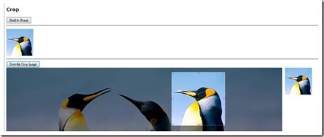 Mrkt 的程式學習筆記 圖片裁剪大頭貼功能 Aspnet Mvc Jquery Imgareaselect