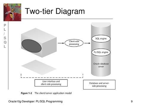 Chapter 1 Introduction To Plsql Oracle10g Developer Ppt Download