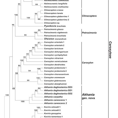 The Best Tree Inl 19360032213 Recovered From The Ml Analysis