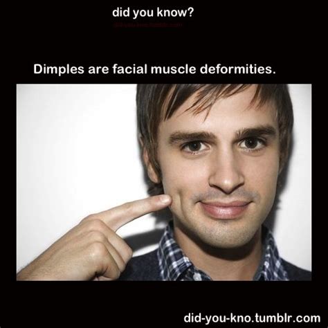 10 Facts About Dimples Fact File