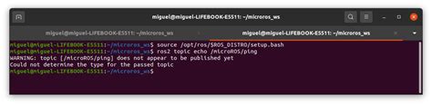 Messages Not Being Published Or Agent Not Running Issue Micro ROS Micro Ros Setup GitHub