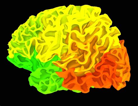 mapping 1d dset on a surface afni message board afni discuss message board