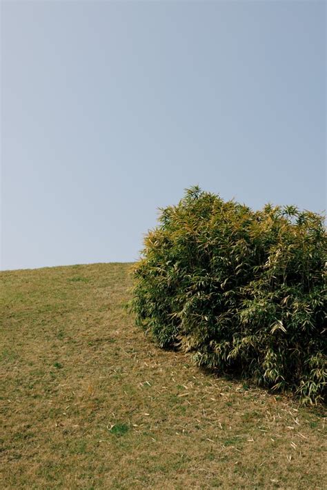 요며칠의 아무사진들 디지털 사진 마이너 갤러리