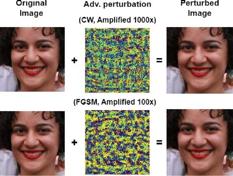 Figure 7 From Linking Convolutional Kernel Size To Generalization Bias