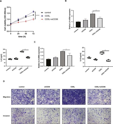 Cd5l Aggravates Rheumatoid Arthritis Progression Via Promoting Synovial