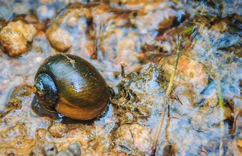 피부 뚫고 ‘수천개 알 낳아 실명까지휴양지 ‘이것 조심하세요