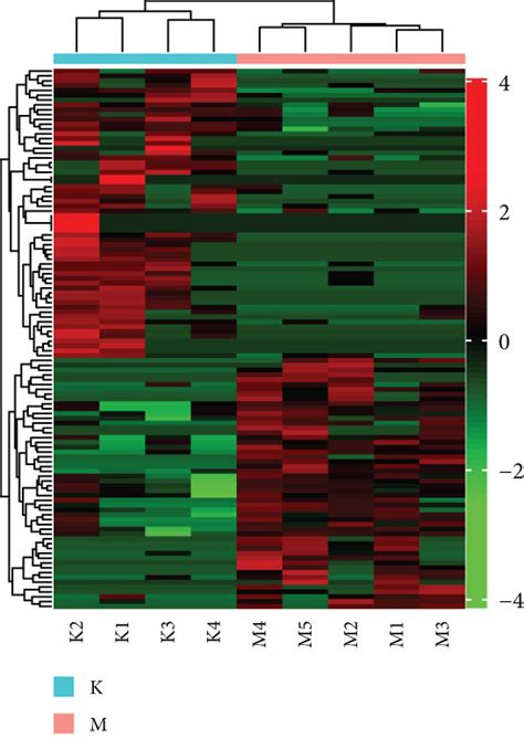 Analysis Of Differentially Expressed Mrnas Lncrnas And Circrnas A