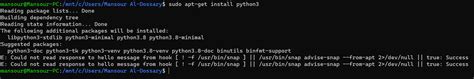 Linux Deleted Python And Tried To Reinstall It Using Wsl But Could