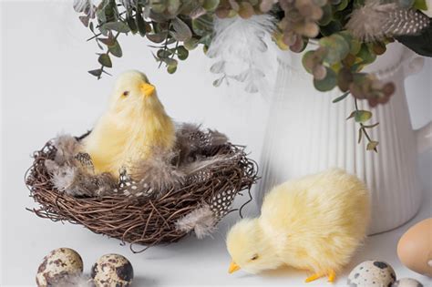 기치 밝은 부활절 휴일의 개념 흰색 고립 된 배경에 깃털 노란 닭 부활절 메추라기 달걀이있는 꽃다발 아름다운 부활절 카드 0명에 대한 스톡 사진 및 기타 이미지 Istock