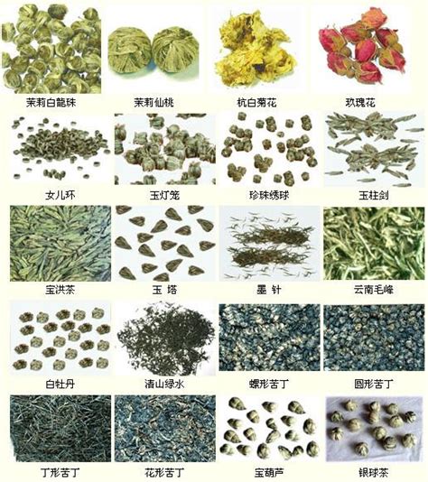 中國是名茶之鄉鑑賞各種名茶外觀哪個是你家鄉特有的名產呢 每日頭條